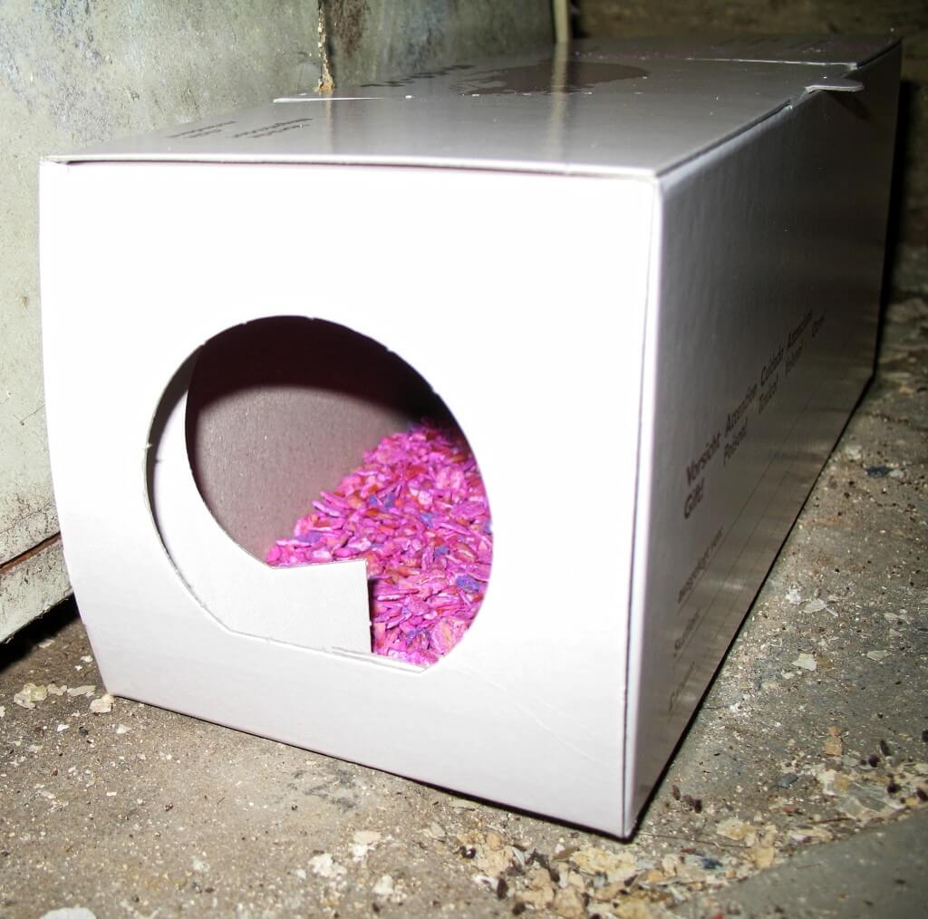 Rattenplage wirkungsvoll bekämpfen ☠ Kammerjäger hilft